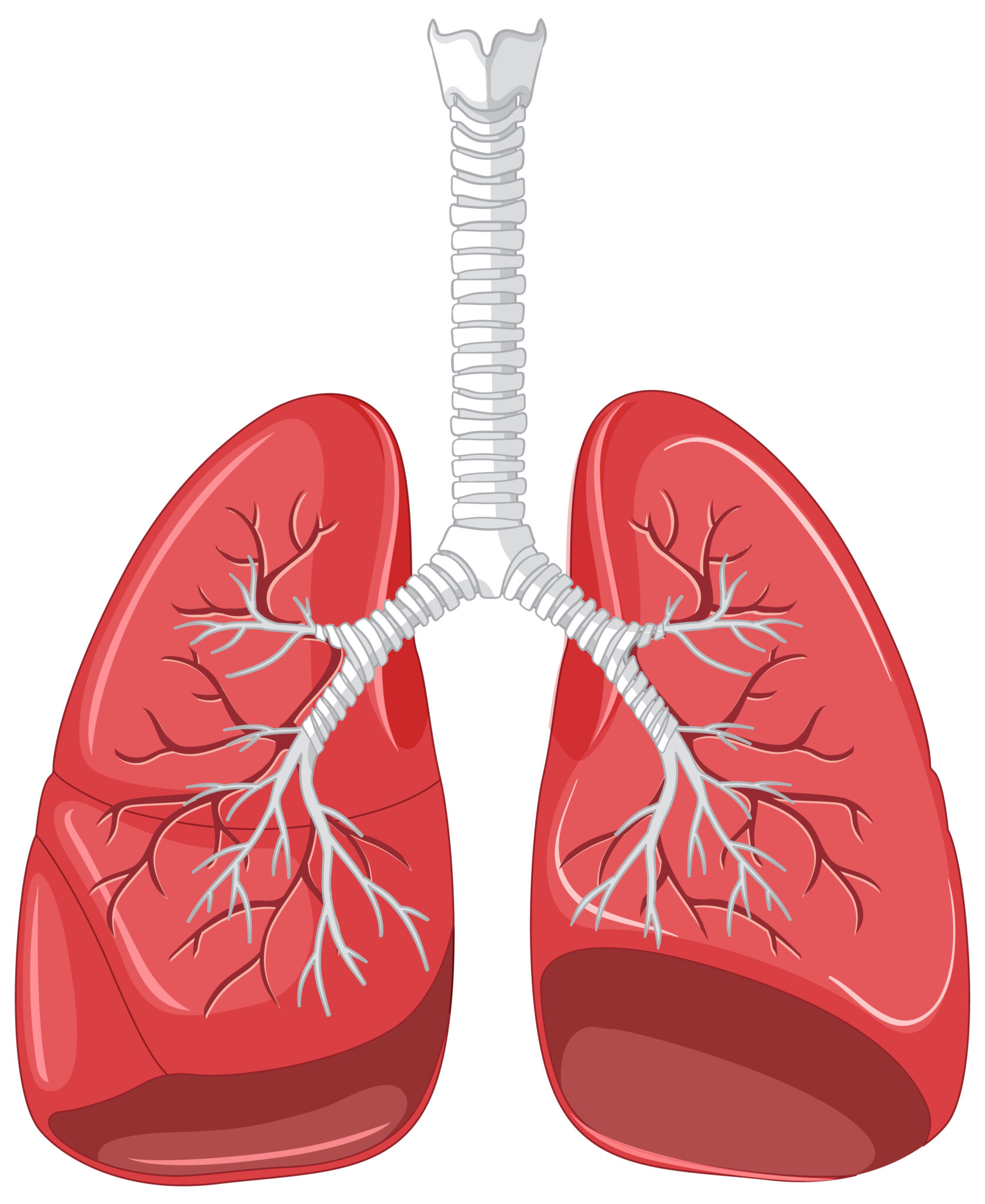 Dotbal Fase Intensiva para tratar Tuberculosis